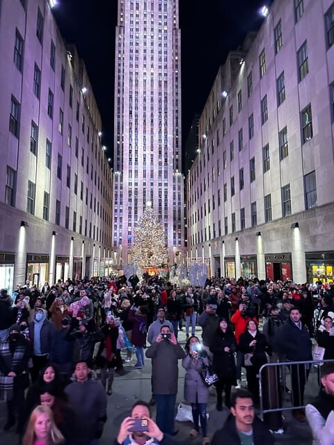 NYC: Christmas Lights Horse Carriage Ride - Itinerary Breakdown: What You’ll See and Experience