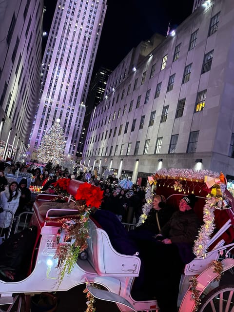 NYC: Christmas Lights Horse Carriage Ride - The Experience in Practice