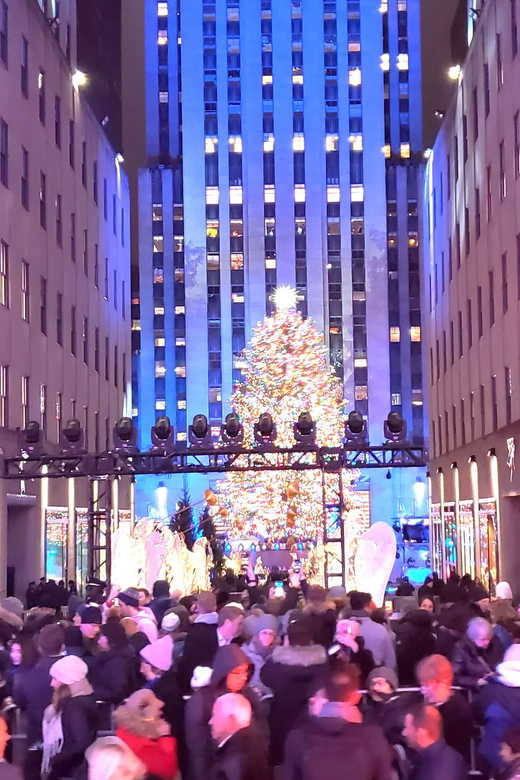 NYC: Christmas Lights Horse Carriage Ride - The City’s Landmarks and Their Holiday Glow