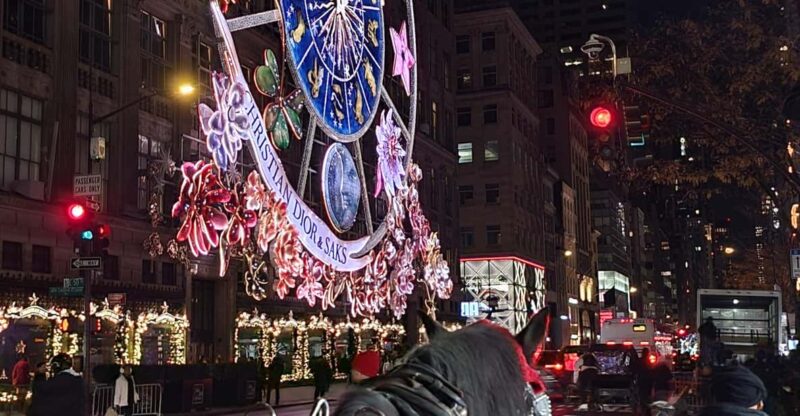 NYC: Christmas Lights Horse Carriage Ride - Practical Tips for Travelers