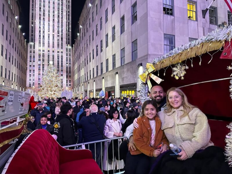 NYC: Christmas Lights Horse Carriage Ride - Who’s This Tour Best For?