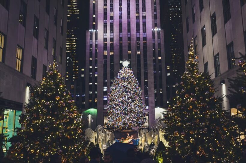 NYC: Dyker Heights and NYC Holiday Lights Luxury Bus Tour - Key Points