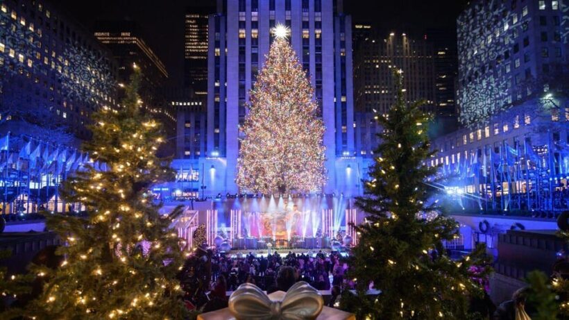 NYC: Dyker Heights and NYC Holiday Lights Luxury Bus Tour - The Value of This Tour