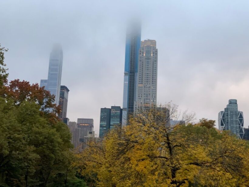 NYC: Empire State Horses Carriage Ride in Central Park - A Detailed Look at the Carriage Ride Experience