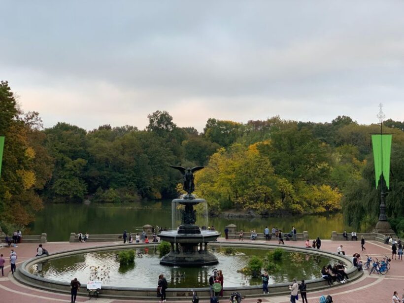 NYC: Empire State Horses Carriage Ride in Central Park - Authenticity & Value