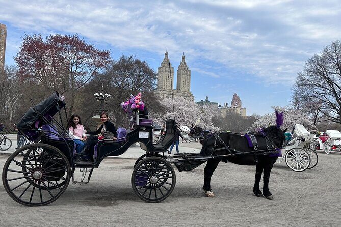 NYC Empire State Horses Carriage Ride in Central Park (45 Mins) - What Makes This Experience Stand Out