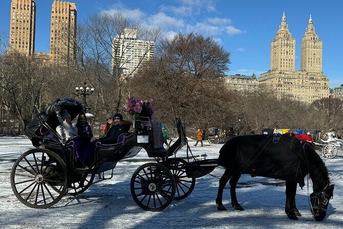 NYC Empire State Horses Carriage Ride in Central Park (45 Mins) - Authentic Insights from Previous Guests