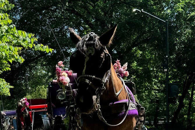 NYC Empire State Horses Carriage Ride in Central Park (45 Mins) - Practical Details and Considerations