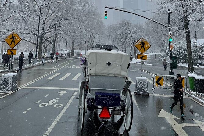 NYC Empire State Horses Carriage Ride in Central Park (45 Mins) - FAQ