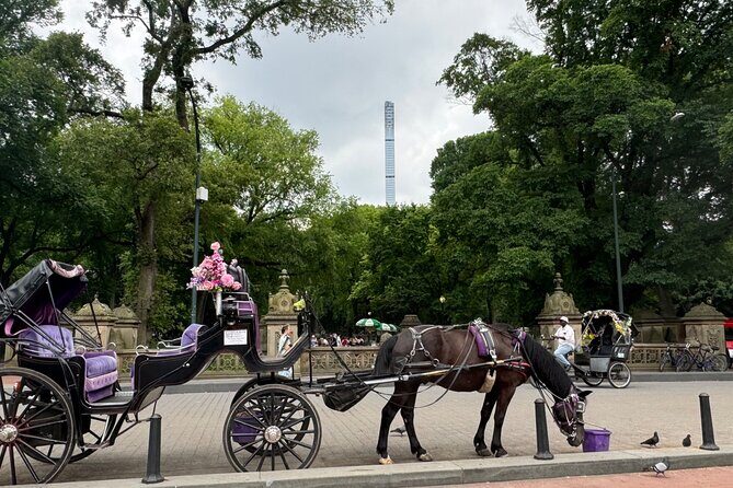 NYC Empire State Horses Carriage Ride in Central Park(55 Min) - Who Is This Tour Best For?