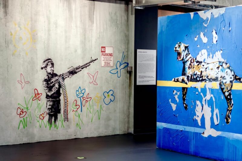 NYC: Entry Ticket To The Banksy Museum - Key Points