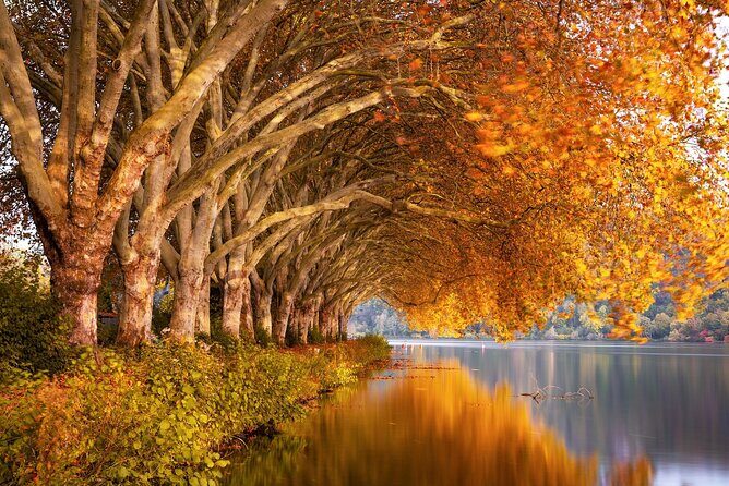 NYC Fall Foliage Cruise - Who Will Love This Tour?
