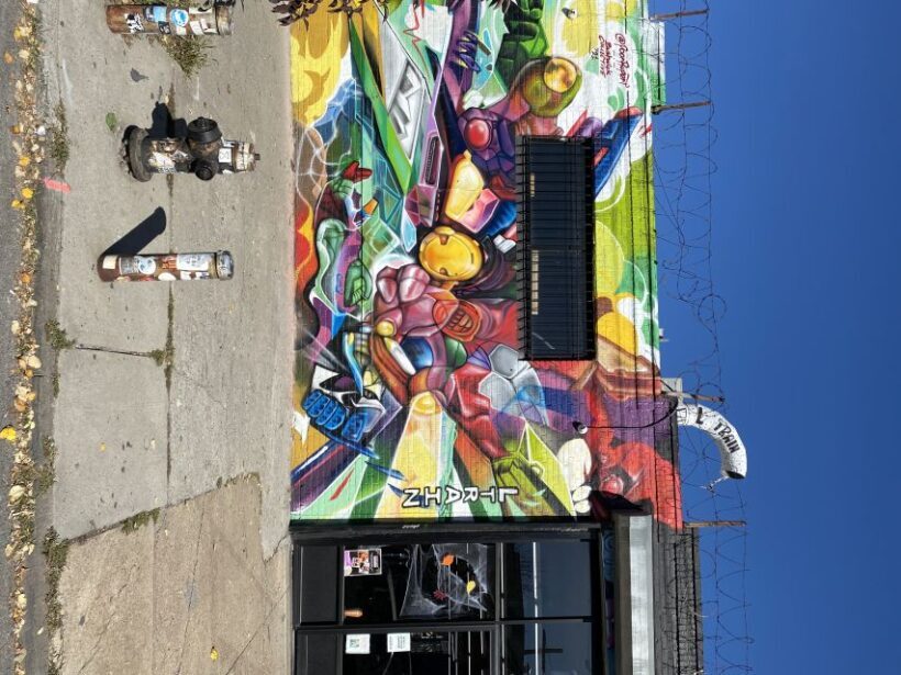 NYC | French guided tour Bushwick & Williamsburg - FAQ