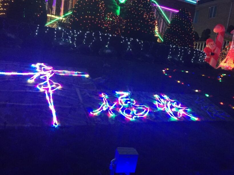 NYC | French guided tour of Christmas in Brooklyn - An In-Depth Look at the Tour Experience