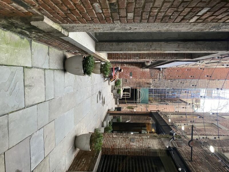 NYC | French guided tour Southern Manhattan - The Experience and Practicalities