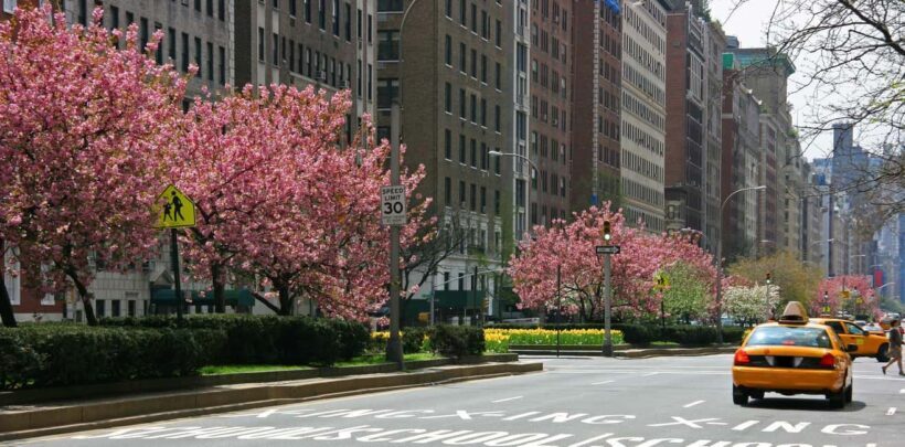NYC: Guggenheim Ticket & Carnegie Hill Digital Tour - Key Points