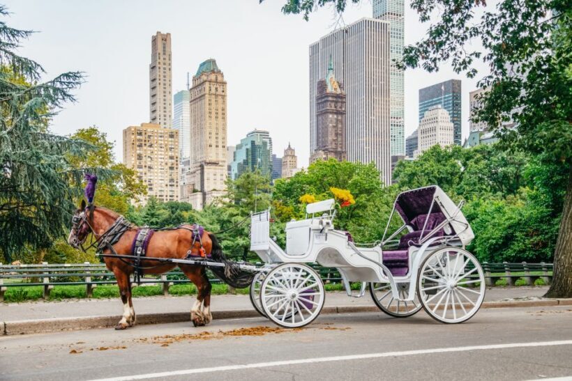 NYC: Guided Central Park Horse Carriage Ride - An Authentic, Comfortable Way to See Central Park