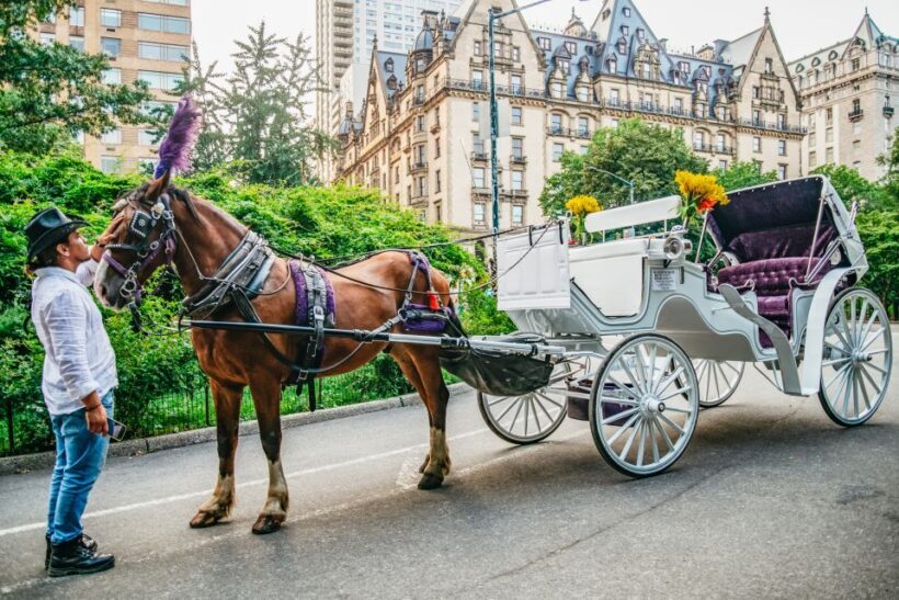 NYC: Guided Central Park Horse Carriage Ride - The Value of a Private Horse Carriage Ride