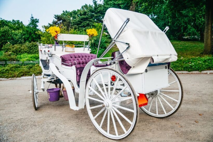 NYC: Guided Central Park Horse Carriage Ride - Weather and Practical Considerations