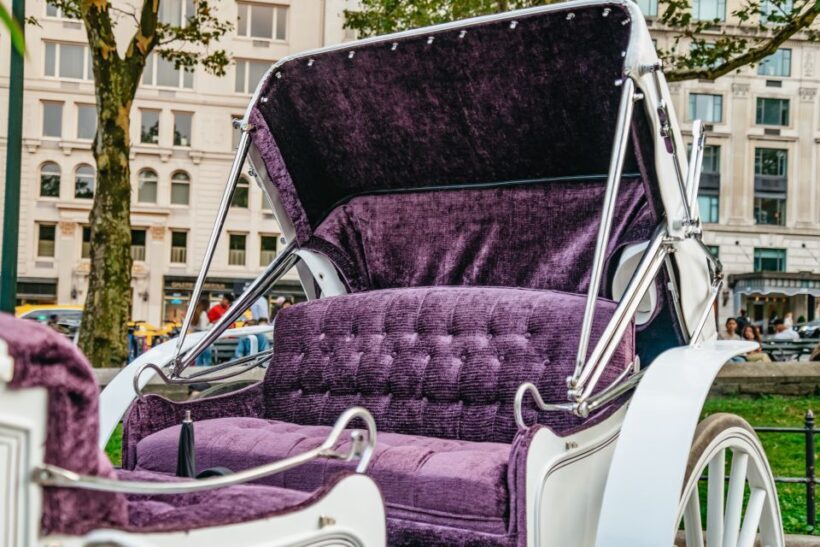 NYC: Guided Central Park Horse Carriage Ride - FAQ