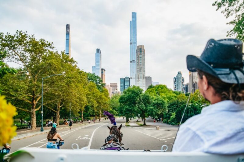 NYC: Guided Central Park Horse Carriage Ride - Who Would Love This Tour?