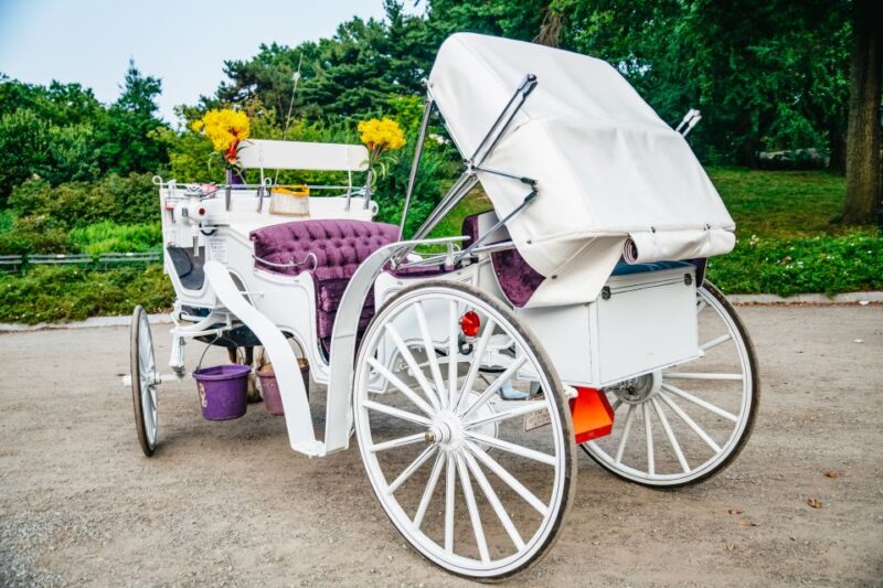NYC: Guided Central Park Horse Carriage Ride - The Sum Up: Is This Tour Worth It?