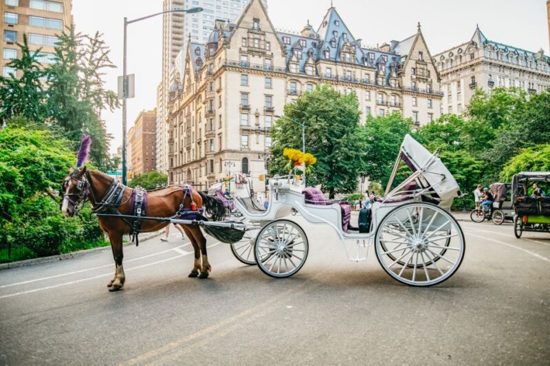 NYC: Guided Central Park Horse Carriage Ride - FAQs