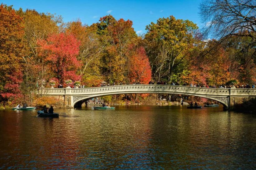 NYC: Guided Central Park Private Pedicab Tour - What to Expect During the Tour