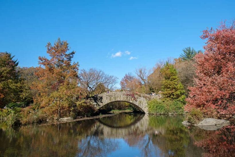 NYC: Guided Central Park Private Pedicab Tour - FAQ