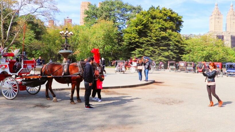 NYC: Guided Standard Central Park Carriage Ride (4 Adults) - A Closer Look at the Carriage Ride Experience