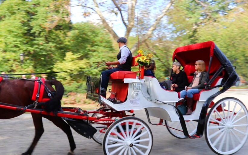 NYC: Guided Standard Central Park Carriage Ride (4 Adults) - The Sum Up