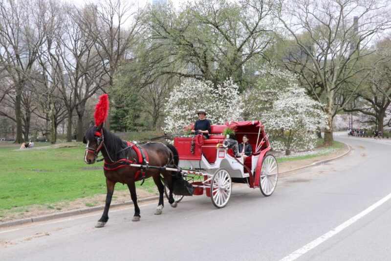 NYC: Guided Standard Central Park Carriage Ride (4 Adults) - What Can You Expect During the Tour?