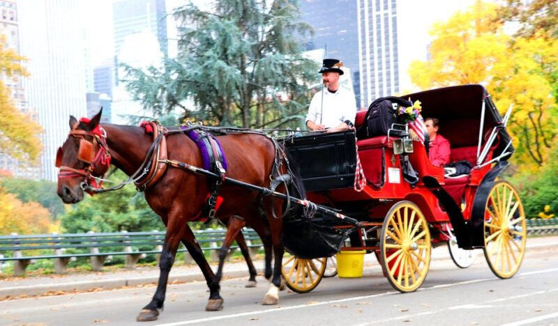 NYC: Guided Standard Central Park Carriage Ride (4 Adults) - Authentic Experiences and Customer Feedback