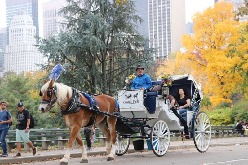 NYC: Guided Standard Central Park Carriage Ride (4 Adults) - Who Should Consider This Tour?