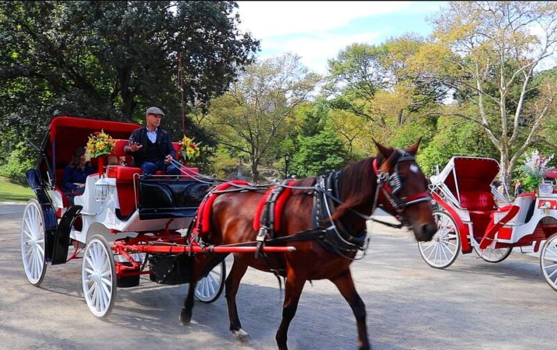 NYC: Guided Standard Central Park Carriage Ride (4 Adults) - FAQ