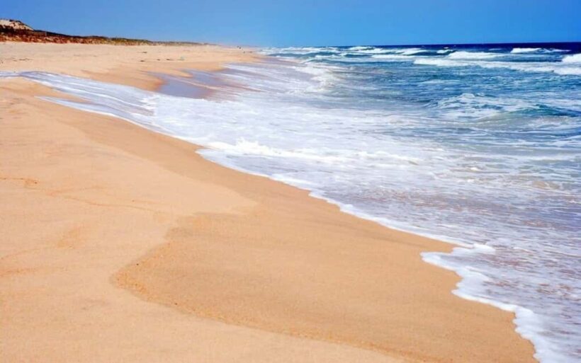 NYC: Hamptons Private Day Tour - Key Points