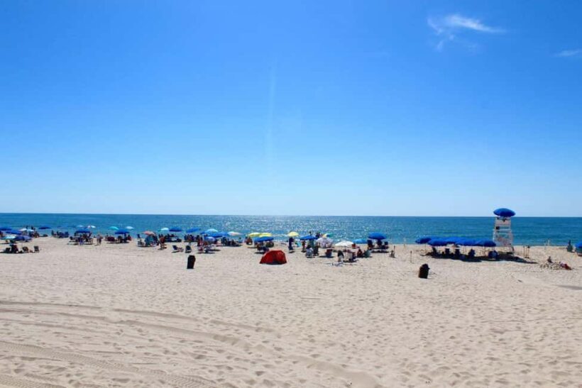 NYC: Hamptons Private Day Tour - The Itinerary: Highlights and What to Expect
