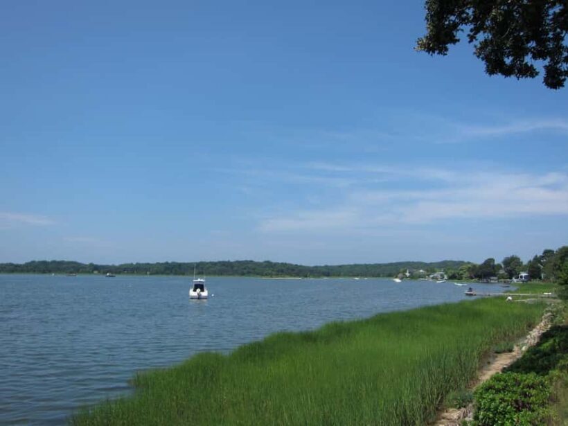 NYC: Hamptons Private Day Tour - Why This Tour Offers Good Value