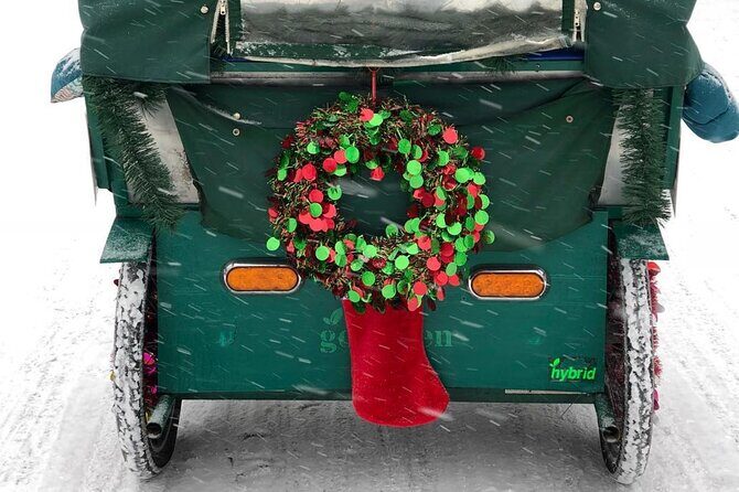 NYC Holiday Lights and Magic Pedicab Tour - A Close Look at the Experience
