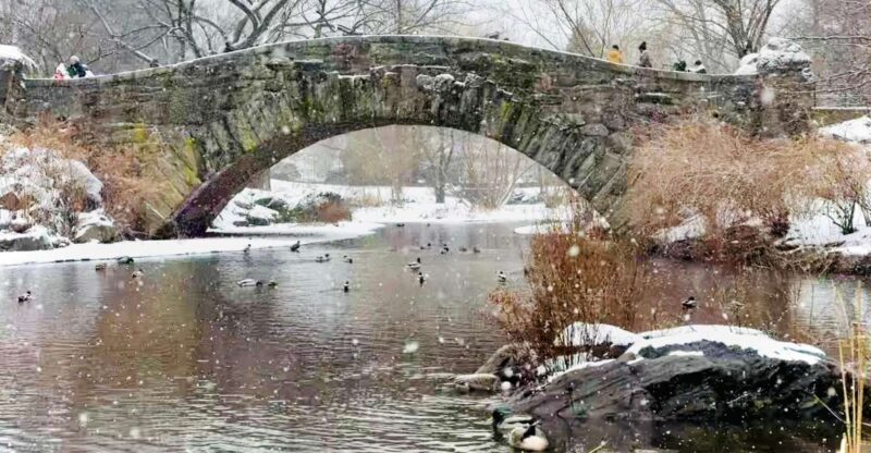 NYC: Home Alone 2 and Elf Tour in Central Park - Practical Details and What to Expect