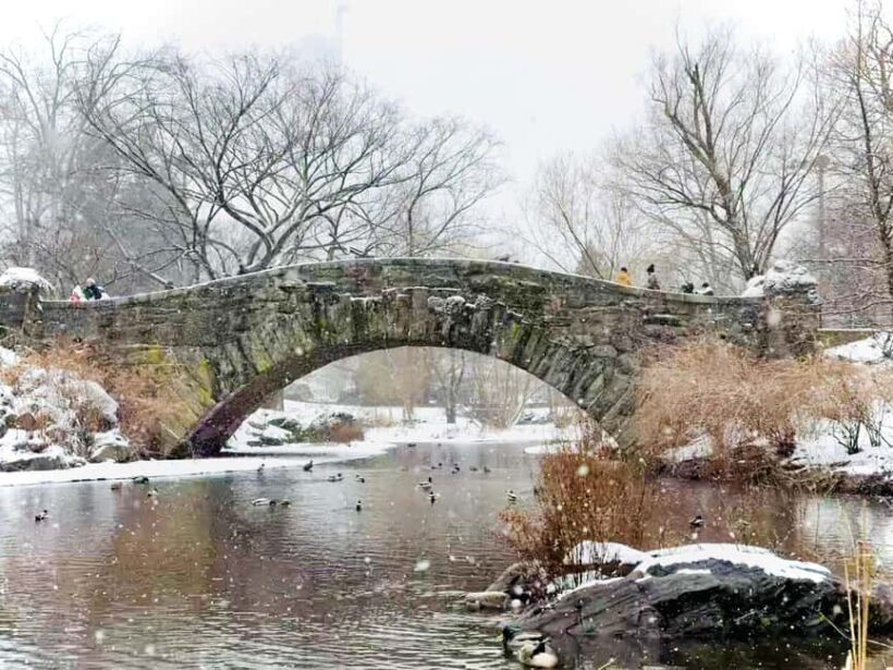NYC: Home Alone 2 & Elf Locations Tour in Central Park Tour - FAQ