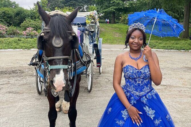NYC Horse and Carriage Central Park Tours - Final Thoughts: Is It Worth It?