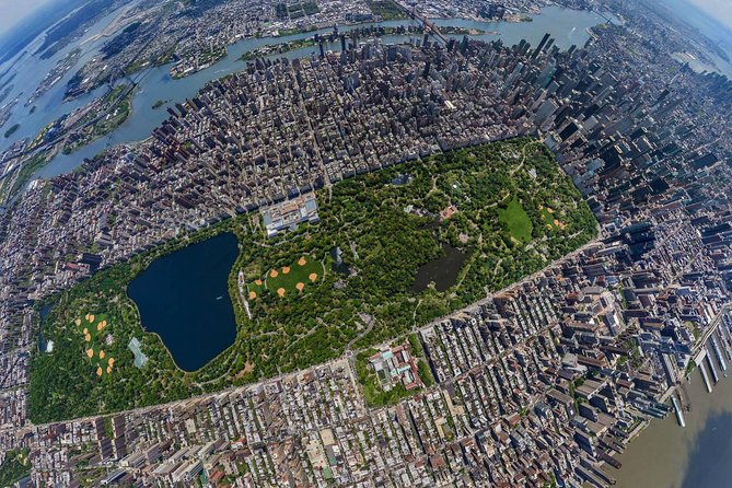 NYC Horse Carriage Ride in Central Park (50 Min. Up to 4 Adults) - Pricing and Booking Information