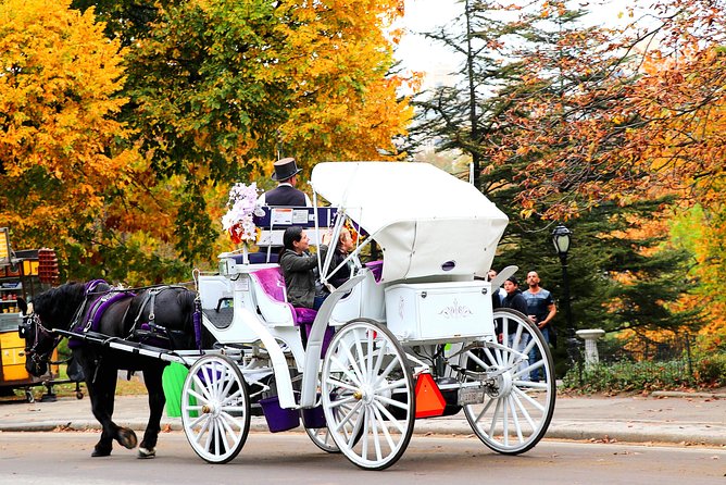 NYC Horse Carriage Ride in Central Park (50 Min. Up to 4 Adults) - Meeting and Pickup Details