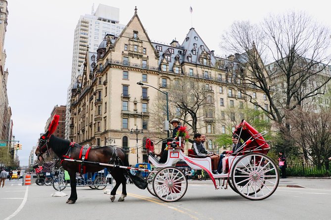 NYC Horse Carriage Ride in Central Park (50 Min. Up to 4 Adults) - Tips for Your Carriage Ride