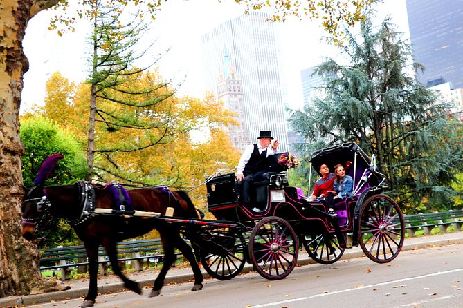 NYC Horse Carriage Ride in Central Park (50 Min. Up to 4 Adults) - Frequently Asked Questions