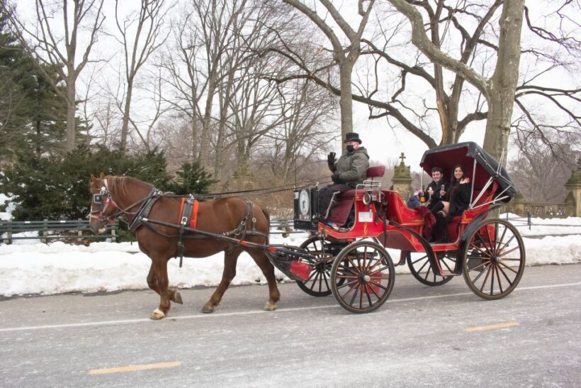 NYC Horse Carriage Ride in Central Park (65 min) - The Ride Itself: A Classic Tour