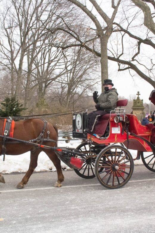 NYC Horse Carriage Ride in Central Park (65 min) - Stops That Make It Special