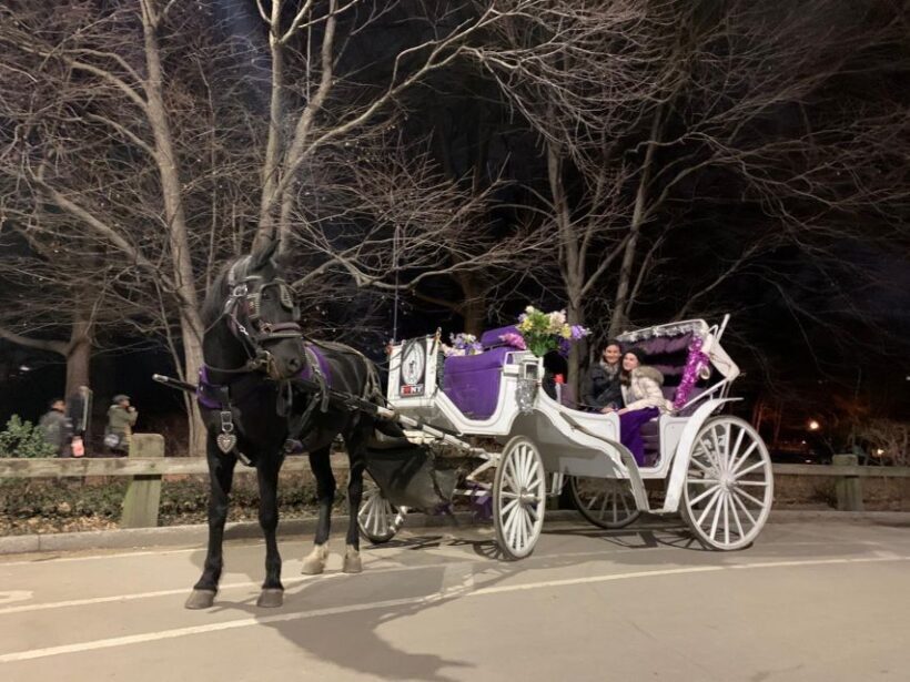 NYC Horse Carriage Ride in Central Park (65 min) - Weather and Timing Considerations
