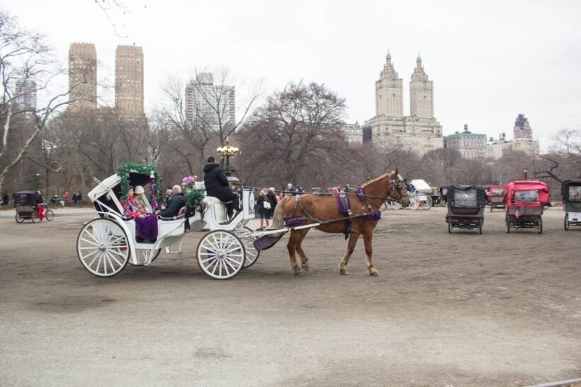NYC Horse Carriage Ride in Central Park (65 min) - Added Comforts and Extras